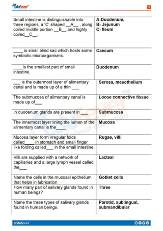 Digestion and Absorption - Biology Revision Notes | PDF