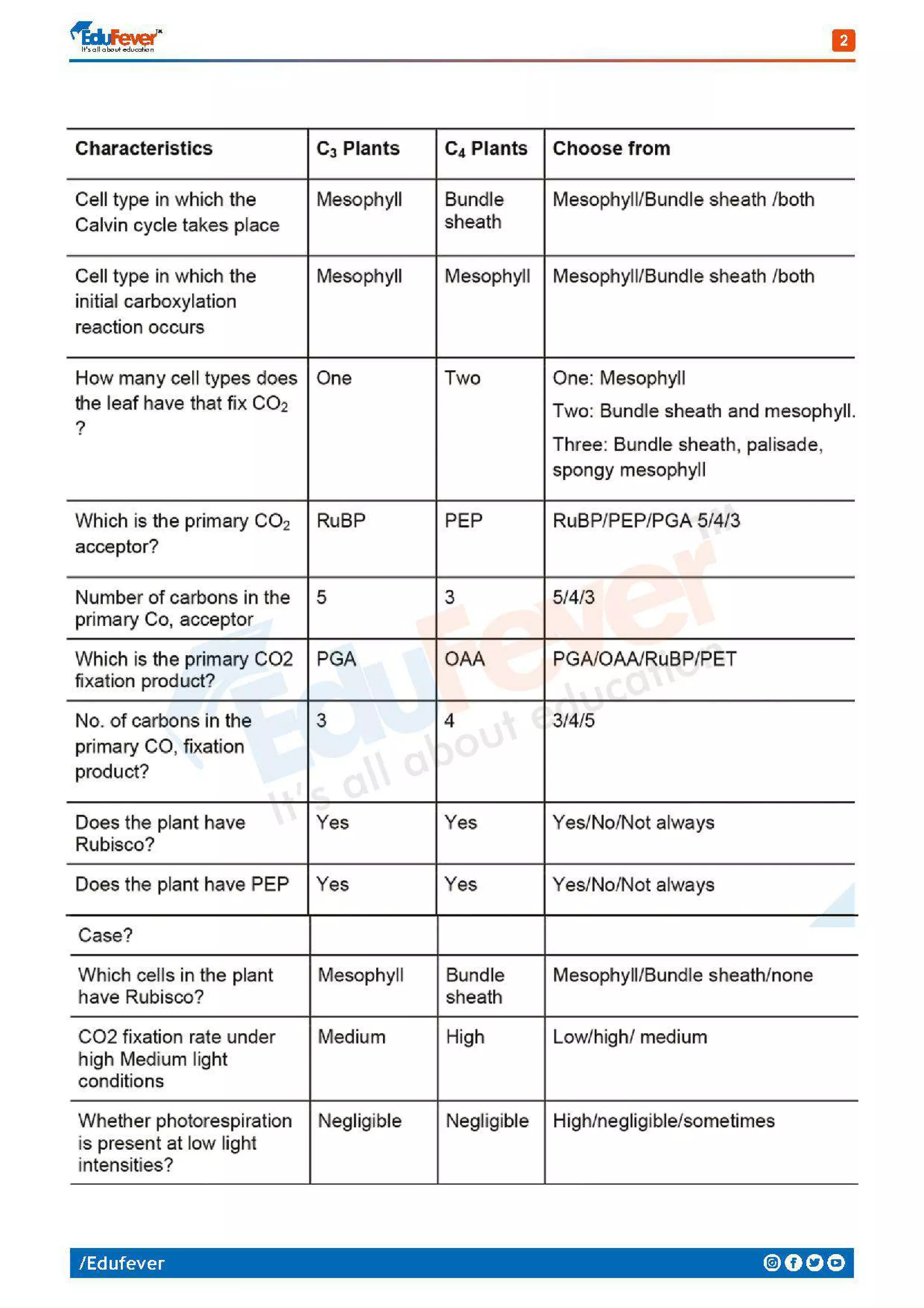 Comparison of C3 and C4 Plants - Biology Revision Notes | PDF