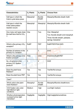 Comparison of C3 and C4 Plants - Biology Revision Notes | PDF