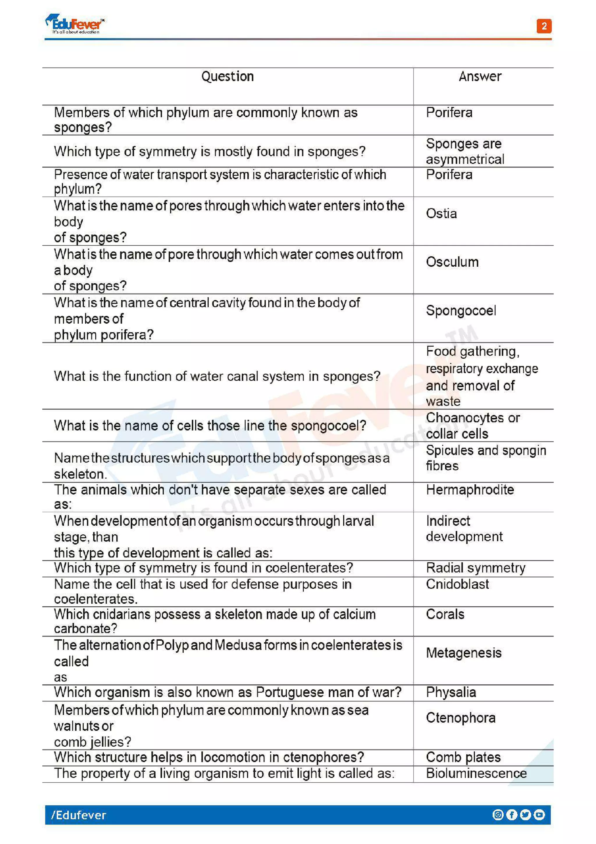 Animal Kingdom - Biology Revision Notes | PDF
