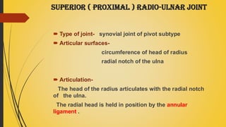 page2-21.pdf, radioulnar joint in human anatomy | PDF