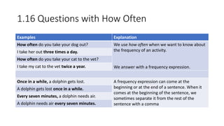 Page 33 grammar presentation | PPTX | Pets
