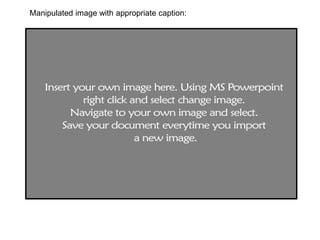 Page layout t5 pro forma | PPTX