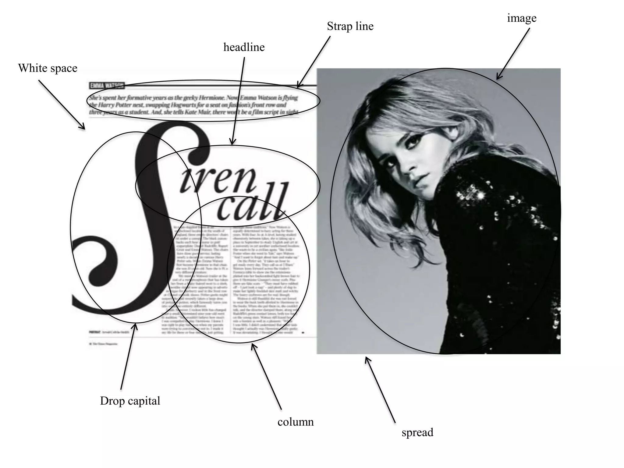 Page layout terminology | PPTX