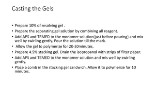 PAGE(Polyacrylamide gel electrophoresis).pptx
