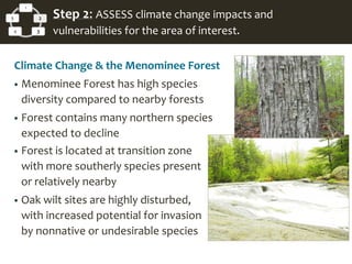 Menominee Tribal Enterprises Oak Wilt Project | PDF
