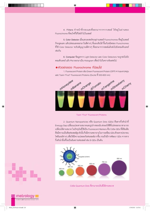 Single Cell Analysis Pdf