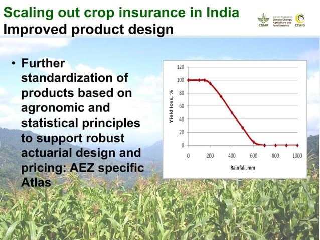 Crop insurance in India: Reaching the Unreached | PPT