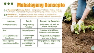 Paggawa at Pormolasyon ng Organikong Pamatay-Damo.pptx
