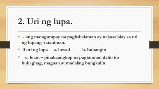 Paggawa ng plot | PPTX