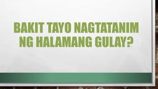 Paghahalaman: Mga Kapakinabangan sa Pagtatanim ng Halamang Gulay | PPTX