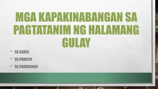 Paghahalaman: Mga Kapakinabangan sa Pagtatanim ng Halamang Gulay | PPTX