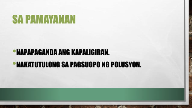 Paghahalaman: Mga Kapakinabangan sa Pagtatanim ng Halamang Gulay | PPTX