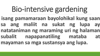Paghahanda ng plot o taniman gamit ang bio intensive | PPTX