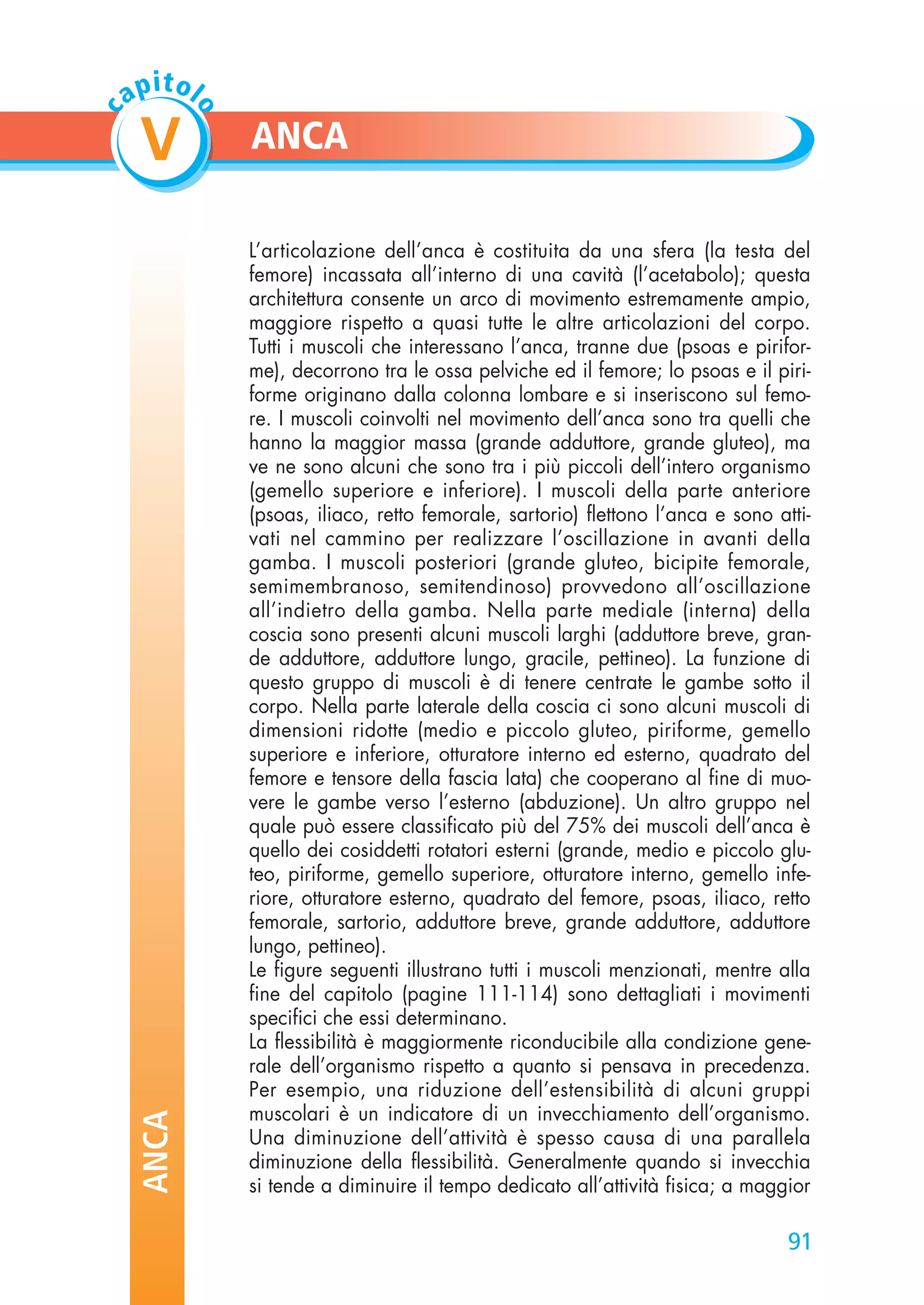 Pagine da anatomia stretching | PDF