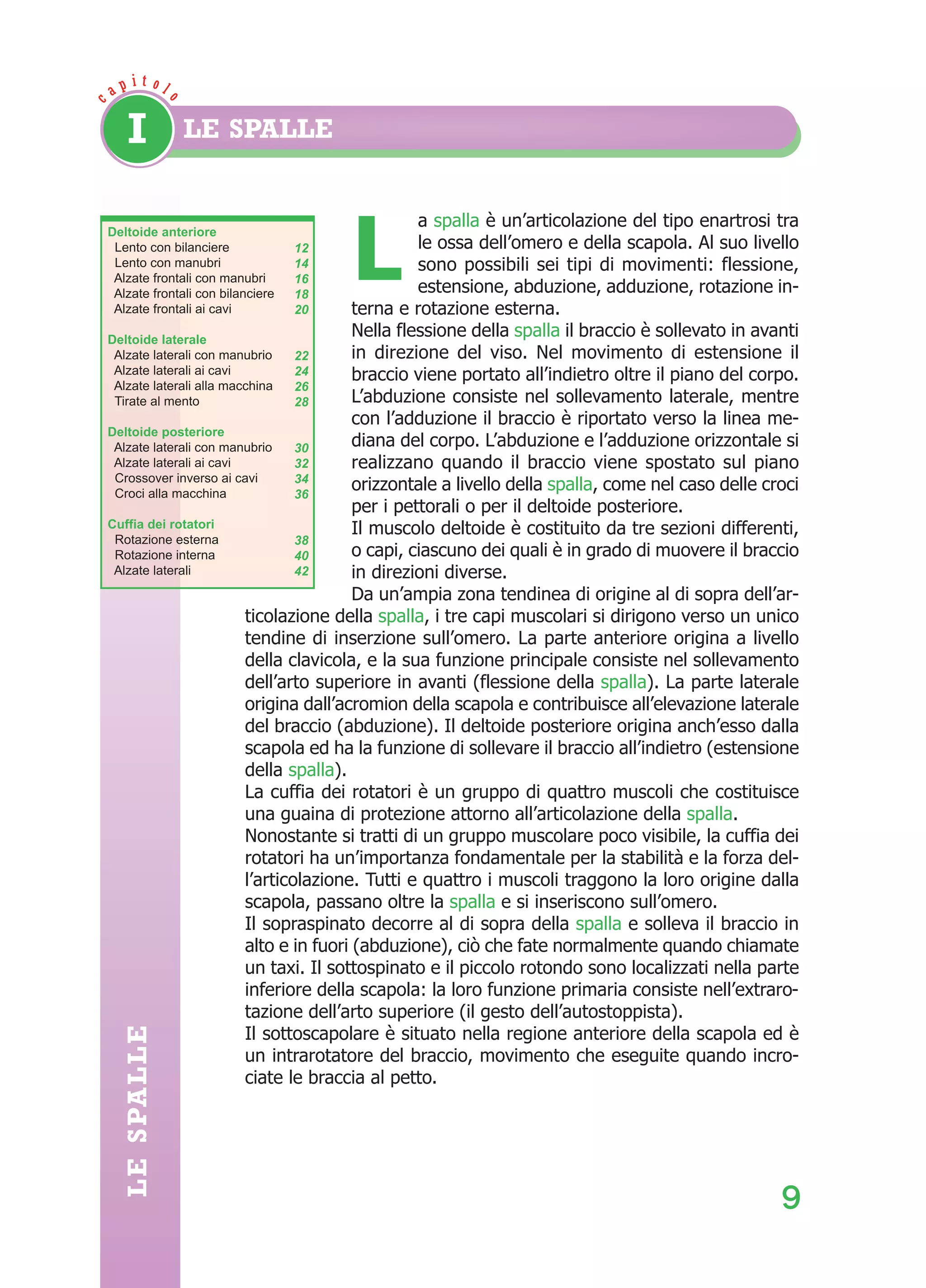 Pagine da body building anatomy | PDF