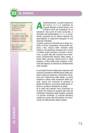 Pagine da body building anatomy | PDF