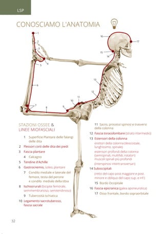 Pagine da Dai meridiani miofasciali al movimento.pdf