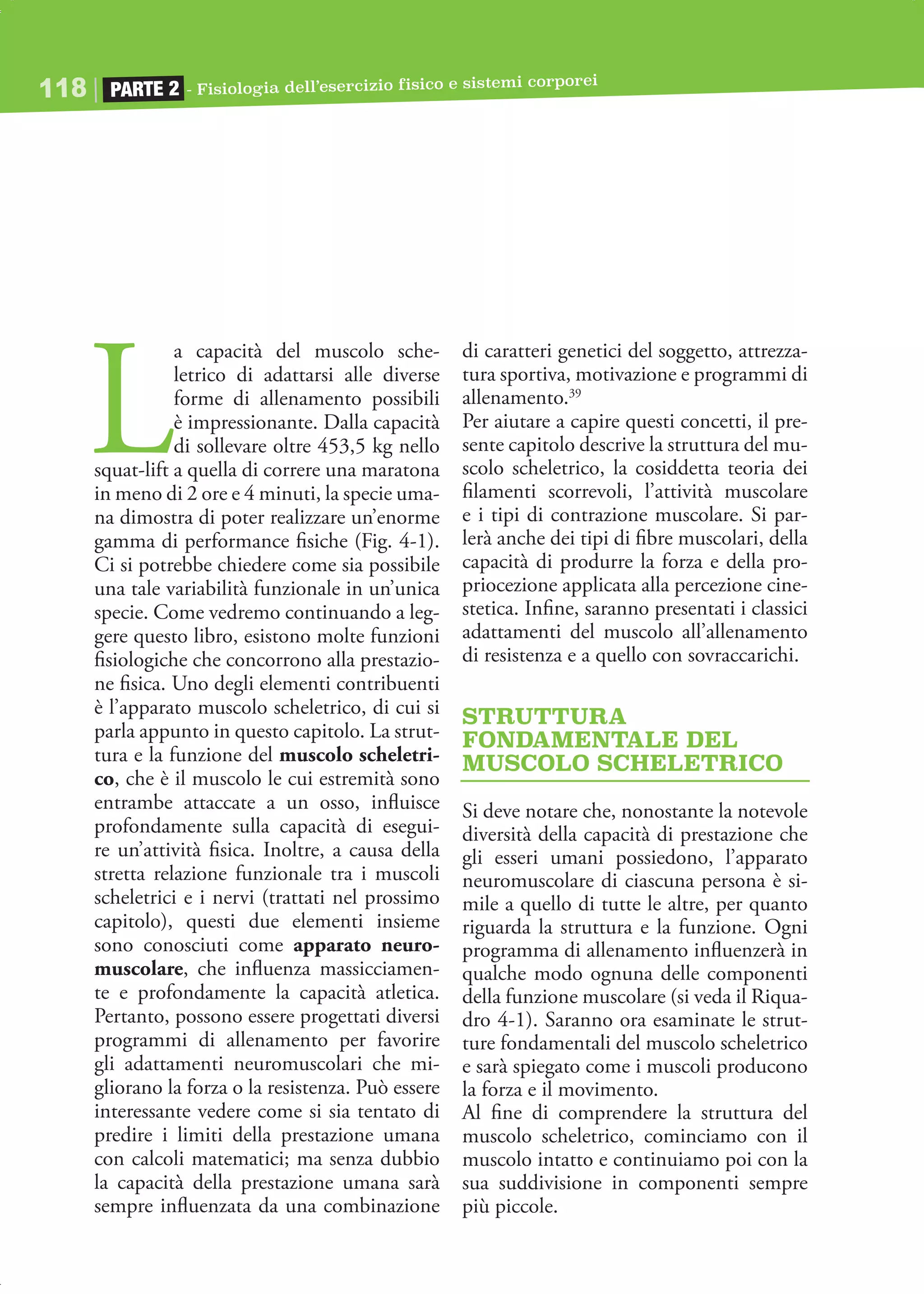 Pagine da Fisiologia dell'esercizio fisico | PDF