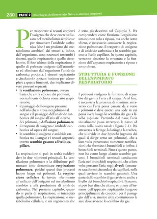 Pagine da Fisiologia dell'esercizio fisico | PDF