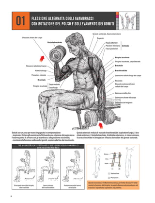 Pagine da nuova guida agli esercizi di muscolazione.pdf