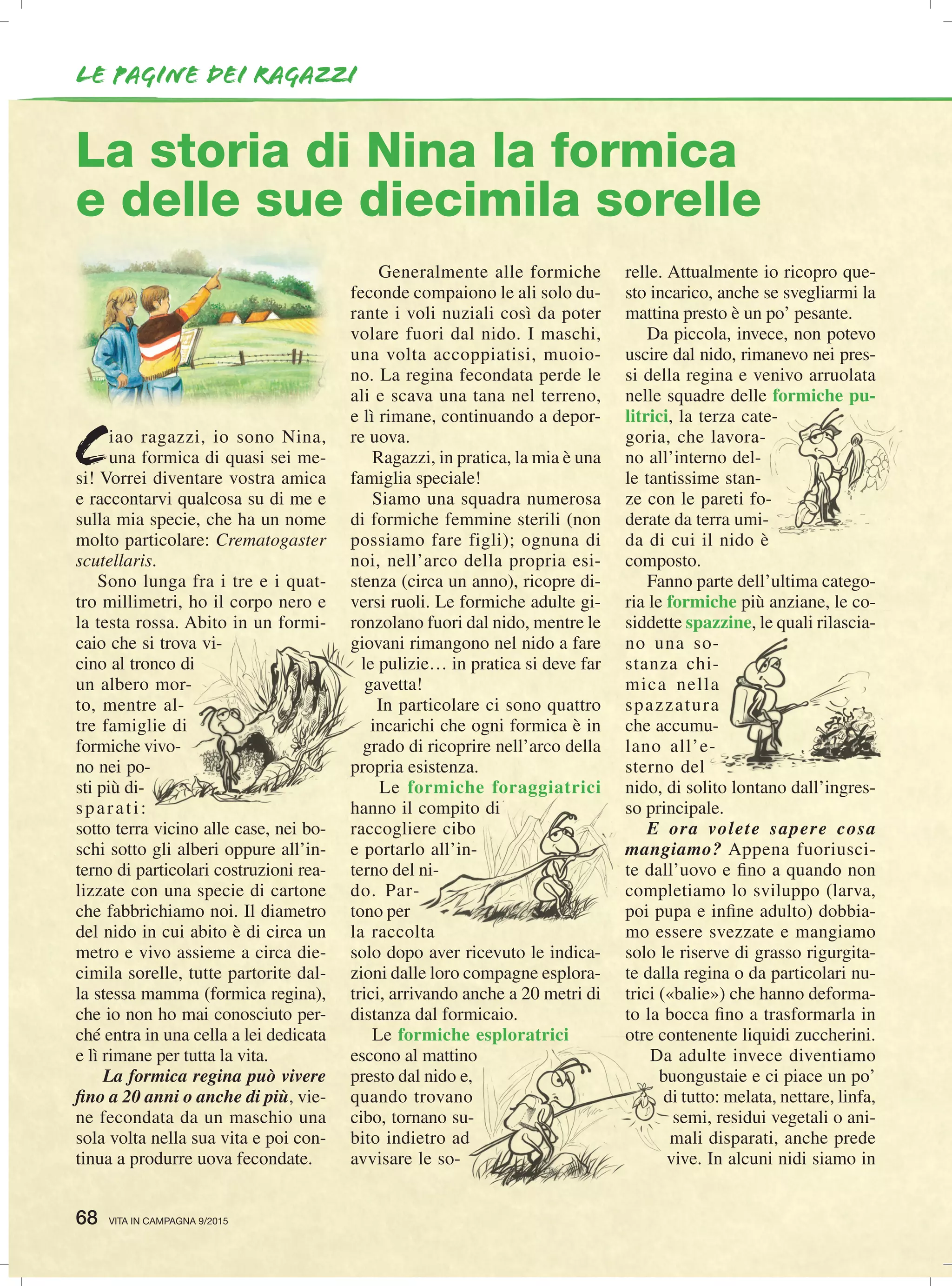 La storia di Nina la formica e delle sue diecimila sorelle | PDF