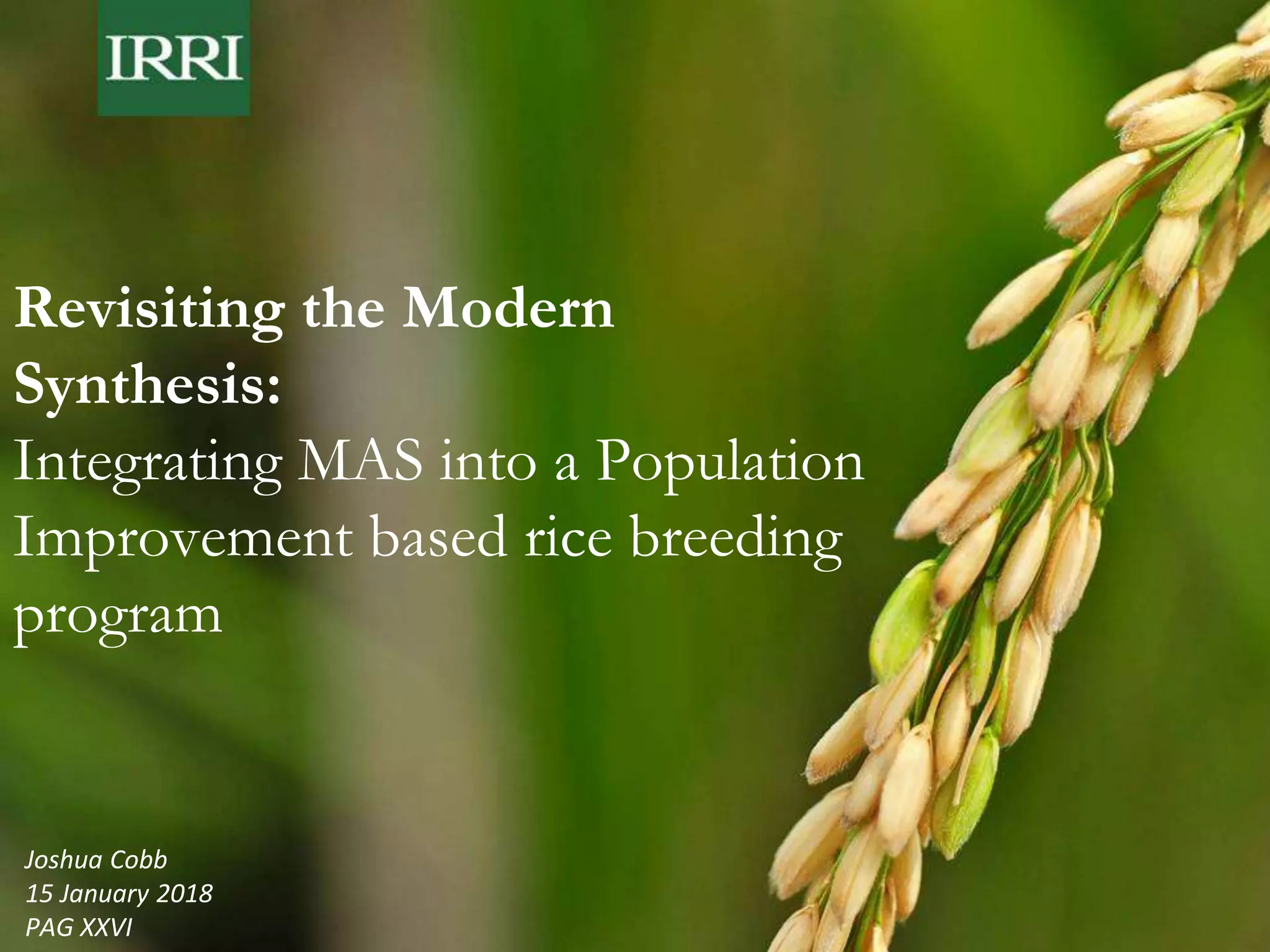 Our PAG XXVI Presentations: Integrating Marker-Assisted Selection into ...