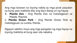 Pagkalinga sa mga Hayop na Ligaw o Endangered Species PPT.pptx