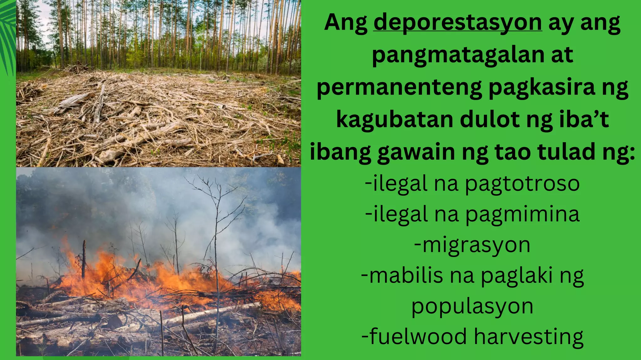 Pagkasira ng likas na yaman.pptx