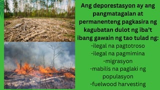 Pagkasira ng likas na yaman.pptx