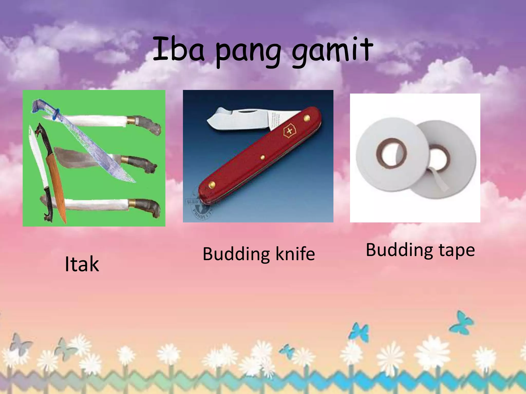 Pagnanarseri (Halaman) | PPTX