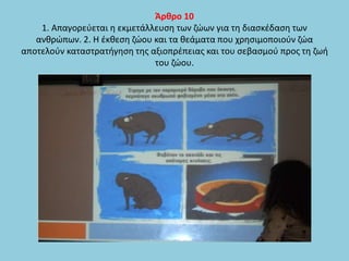 Pagosmia imera zoon | PPTX