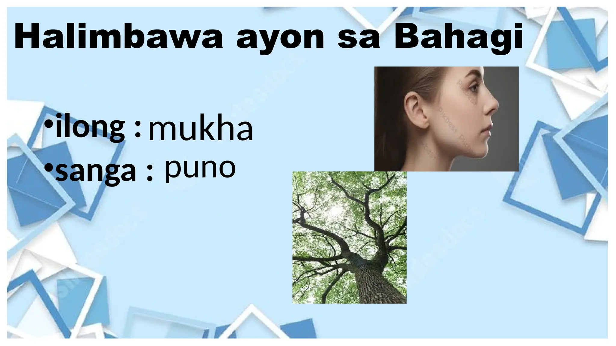Pagpapangkat ng mga Salita at iba papptx | PPT
