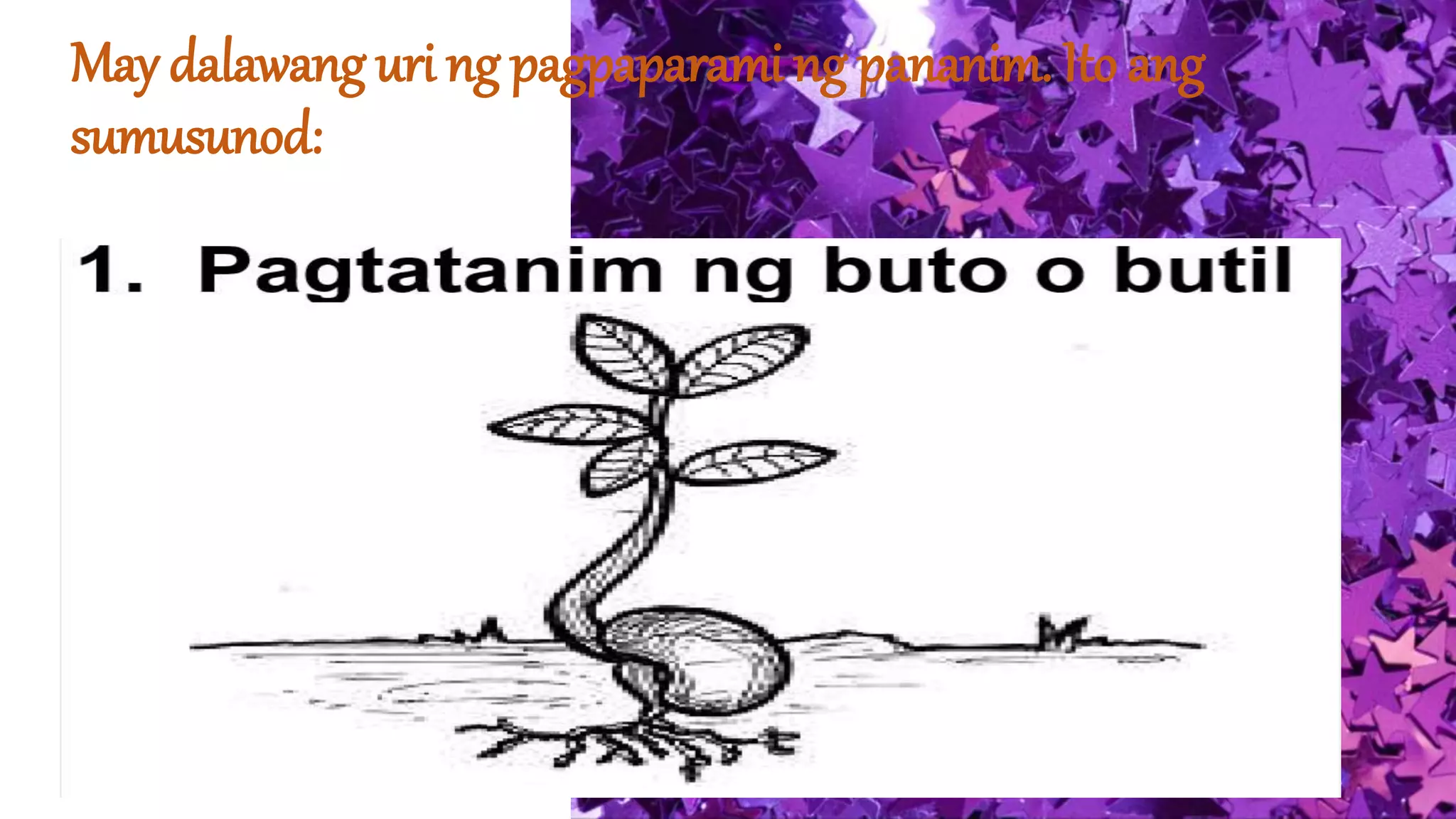 Pagpaparami ng halaman | PPTX