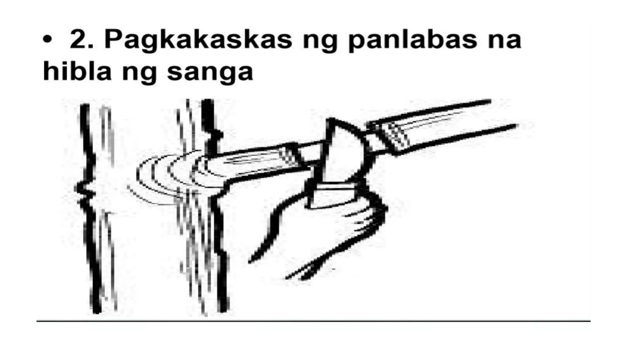 Pagpaparami ng halaman | PPTX