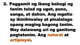 Pagpaparami ng halaman | PPTX