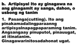 Pagpaparami ng halaman | PPTX