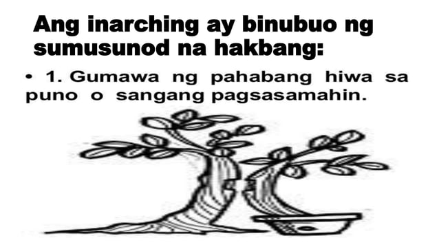 Pagpaparami ng halaman | PPTX