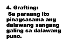 Pagpaparami ng halaman | PPTX