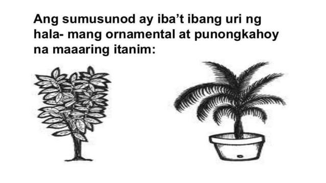 Pagpaparami ng halaman | PPTX