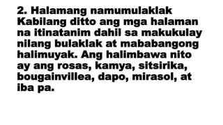 Pagpaparami ng halaman | PPTX