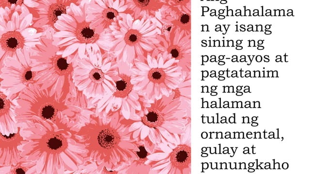 Pagpaparami ng halaman | PPTX