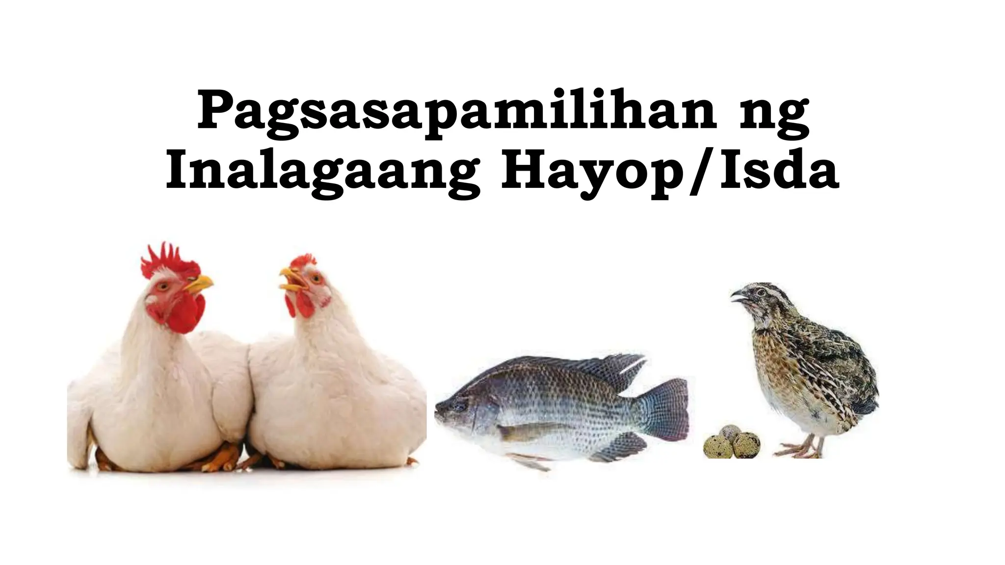 Pagsasapamilihan ng Inalagaang Hayop.pptx