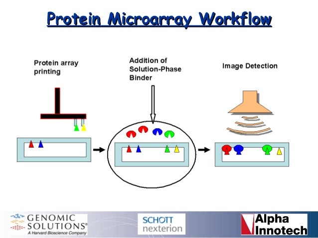 Protein Microarrays: Approaches to Printing