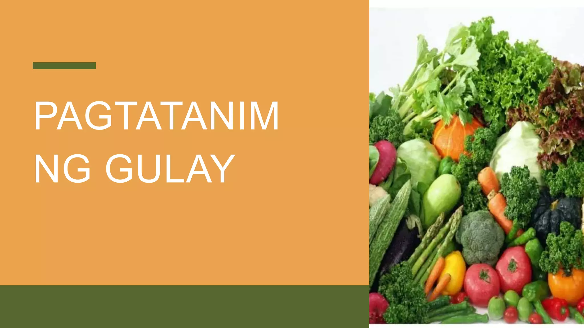 Pagtatanim ng gulay.pptx