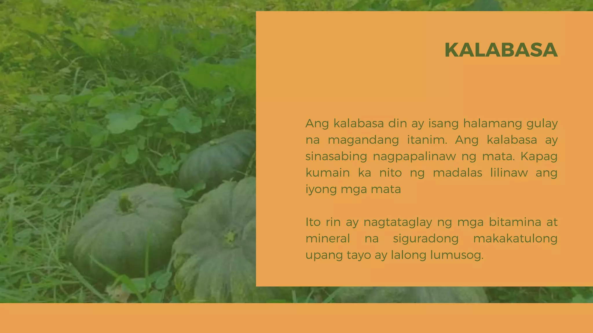 Pagtatanim ng gulay.pptx