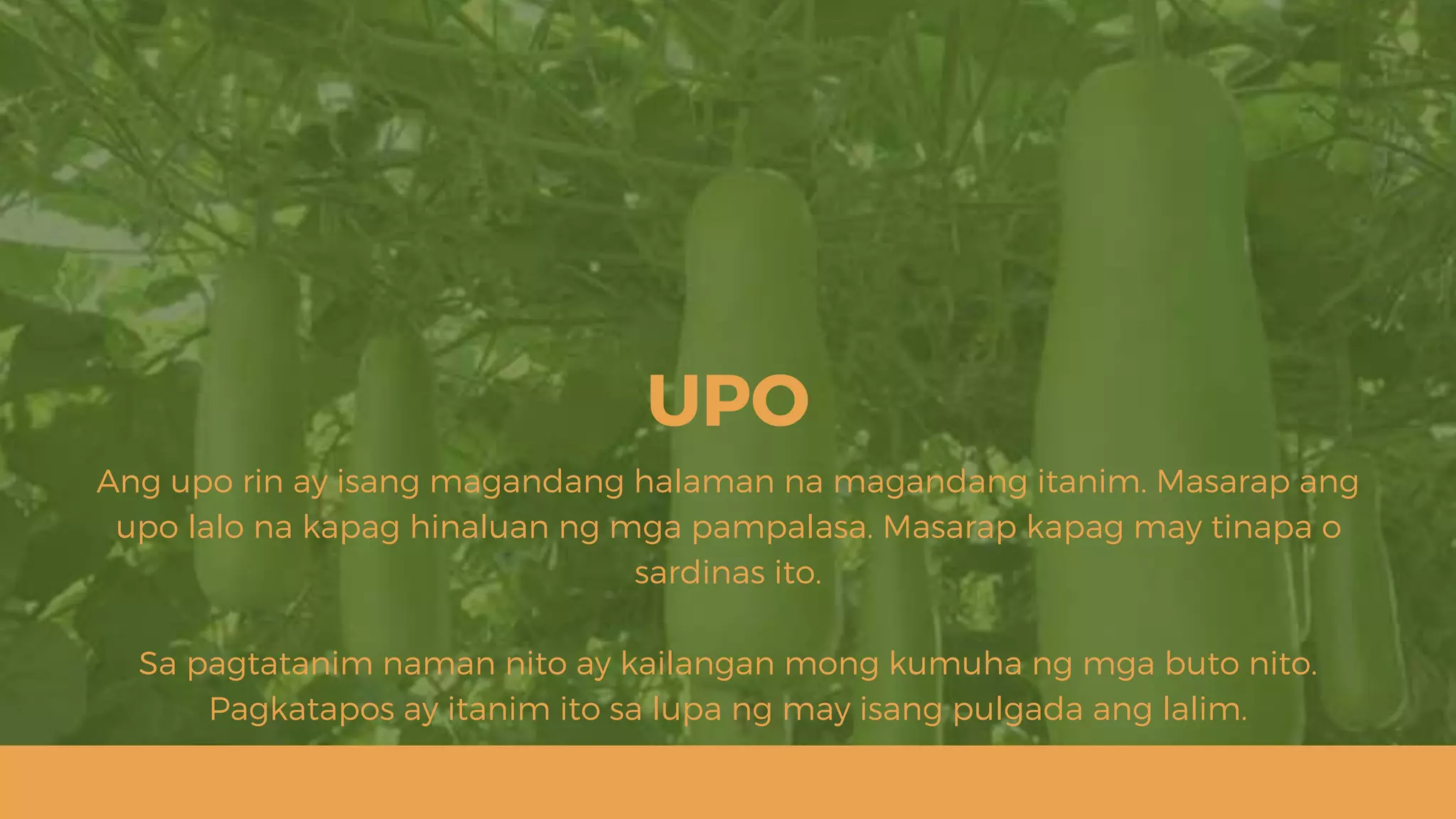 Pagtatanim ng gulay.pptx