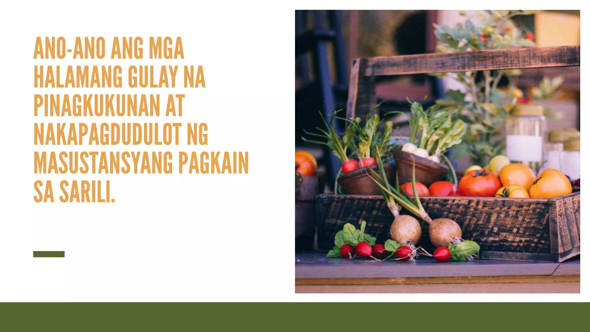 Pagtatanim ng gulay.pptx