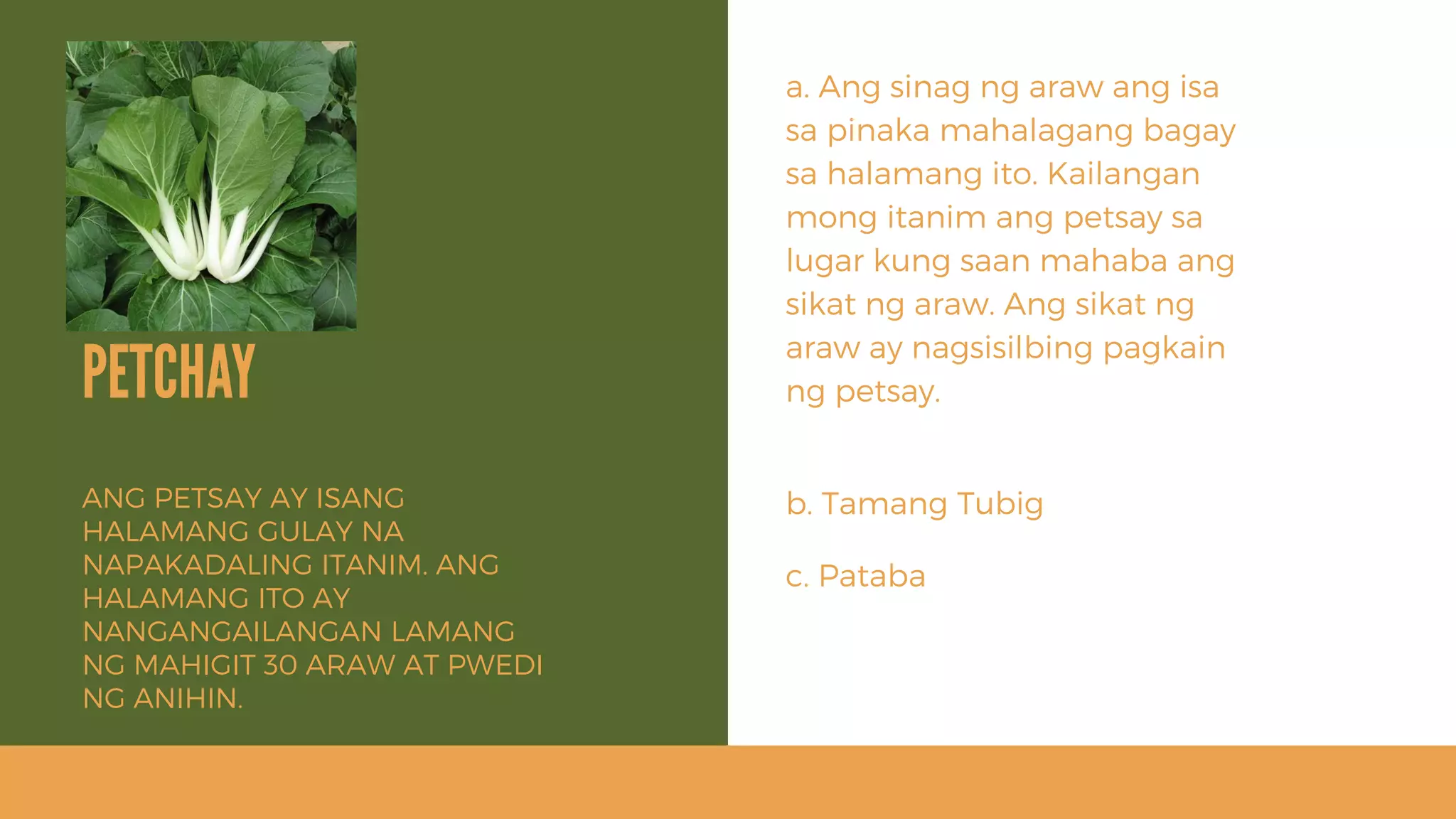 Pagtatanim ng gulay.pptx