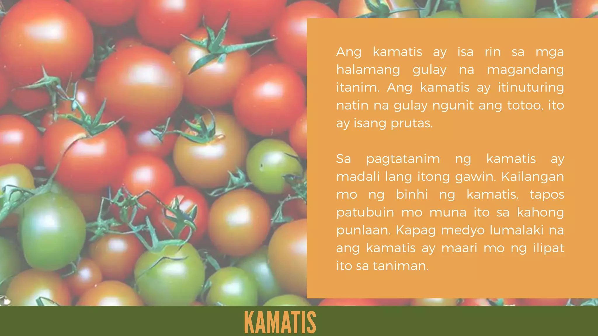 Pagtatanim ng gulay.pptx